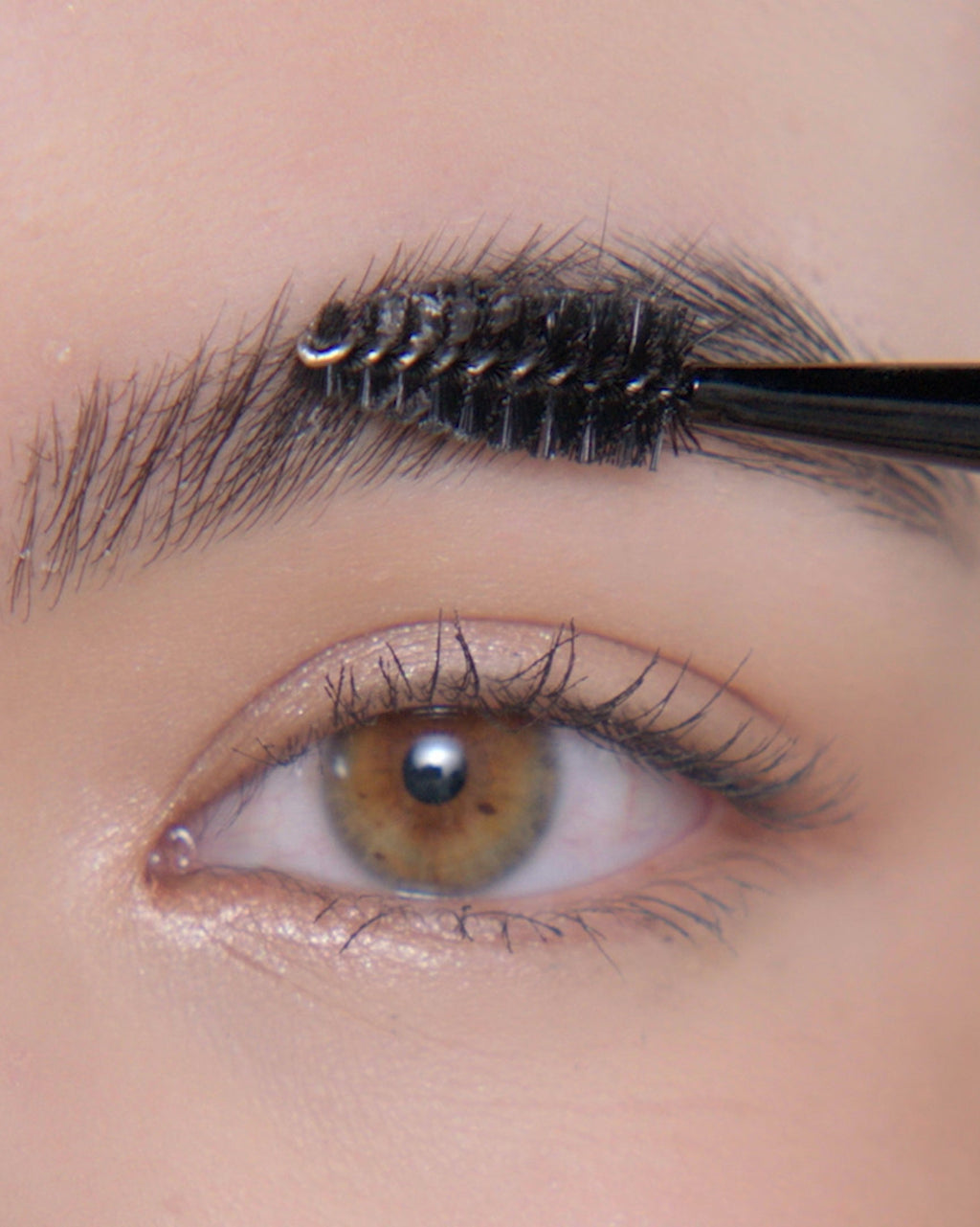 Brow Freeze® | Anastasia Beverly Hills