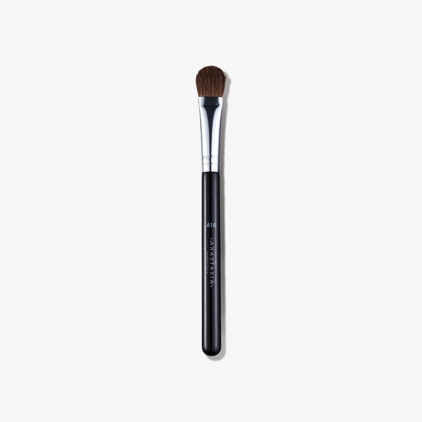 Eyeshadow Brushes | Anastasia Beverly Hills