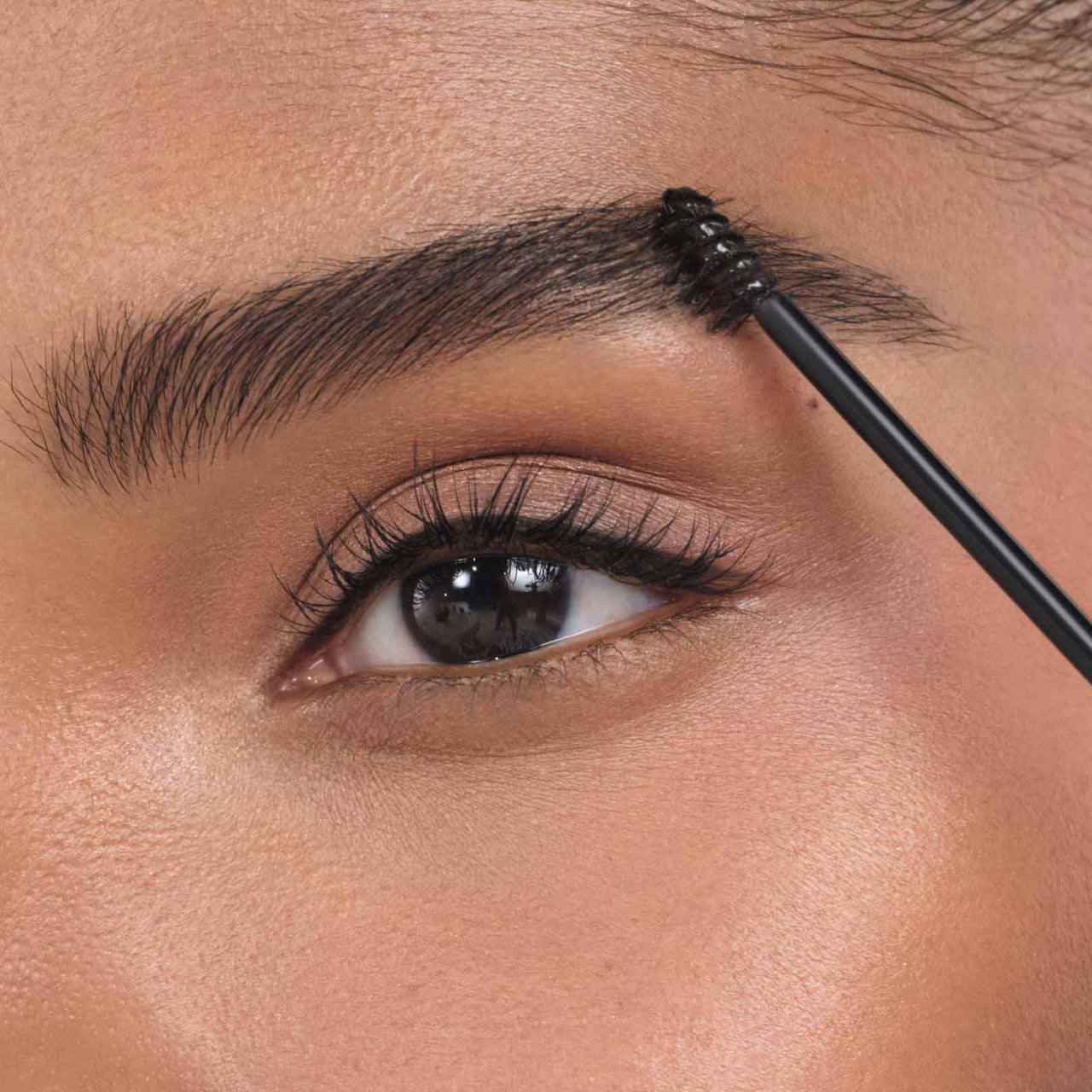 Explore: Volumizing Tinted Brow Gel | Anastasia Beverly Hills